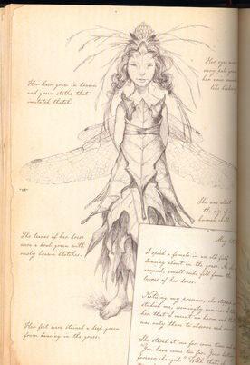 Pixie | Spiderwick Chronicles Wiki | Fandom