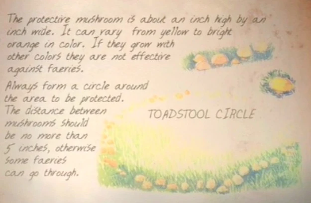 Protection From Magical Creatures | Spiderwick Chronicles Wiki | Fandom