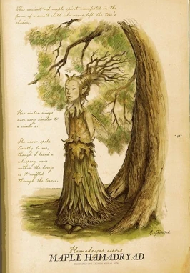 Treefolk | Spiderwick Chronicles Wiki | Fandom