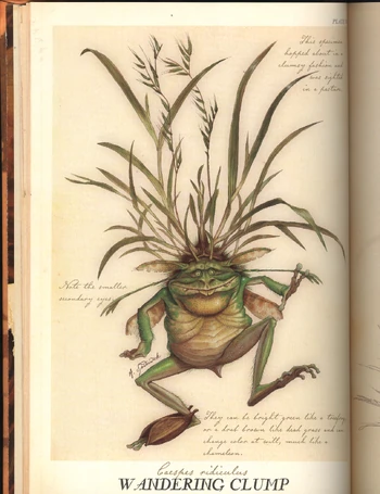 Stray Sod | Spiderwick Chronicles Wiki | Fandom