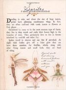 Sprite | Spiderwick Chronicles Wiki | Fandom