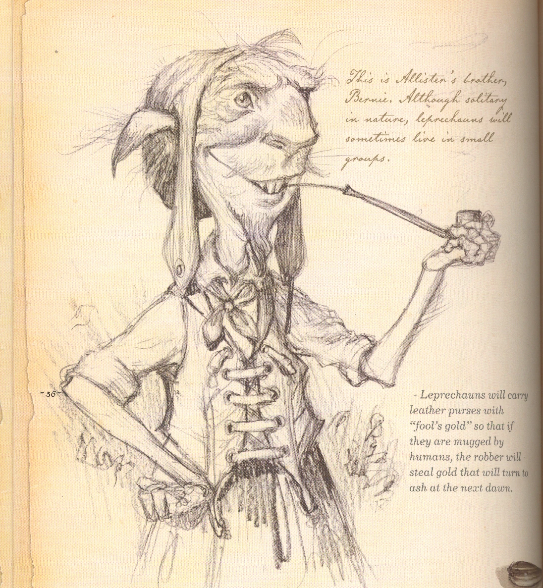 Bernie Sassafeas | Spiderwick Chronicles Wiki | Fandom