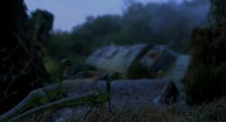Compsognathus | Spielberg Wiki | Fandom