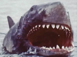 Brucette | Spielberg Wiki | Fandom