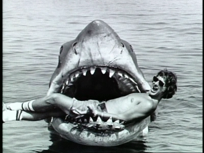 Category:Sharks | Spielberg Wiki | Fandom