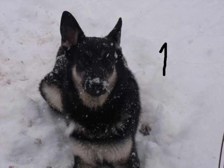 Jeremy Ellison | Spike Ellison's Underground Wiki | Fandom