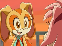 Cream the Rabbit | Sonic X Wiki | Fandom