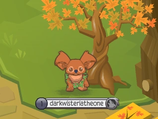 Pumpkin boi | SpinnyBoizAJ Wiki | Fandom