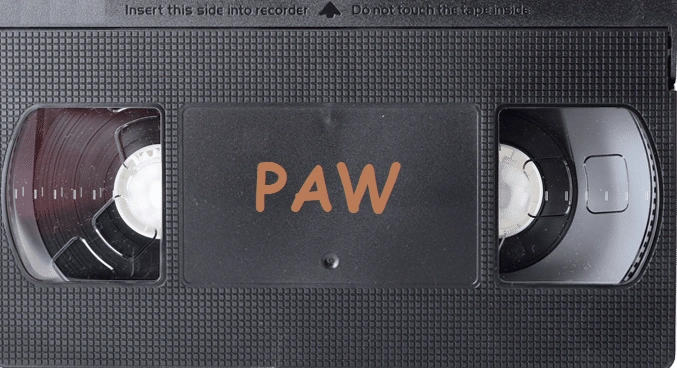 Paw Patrol Lost Episode: Faceless Halloween. | Spinpasta Wiki | Fandom