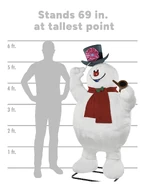 Frosty the Snowman | Spirit Christmas Wiki | Fandom