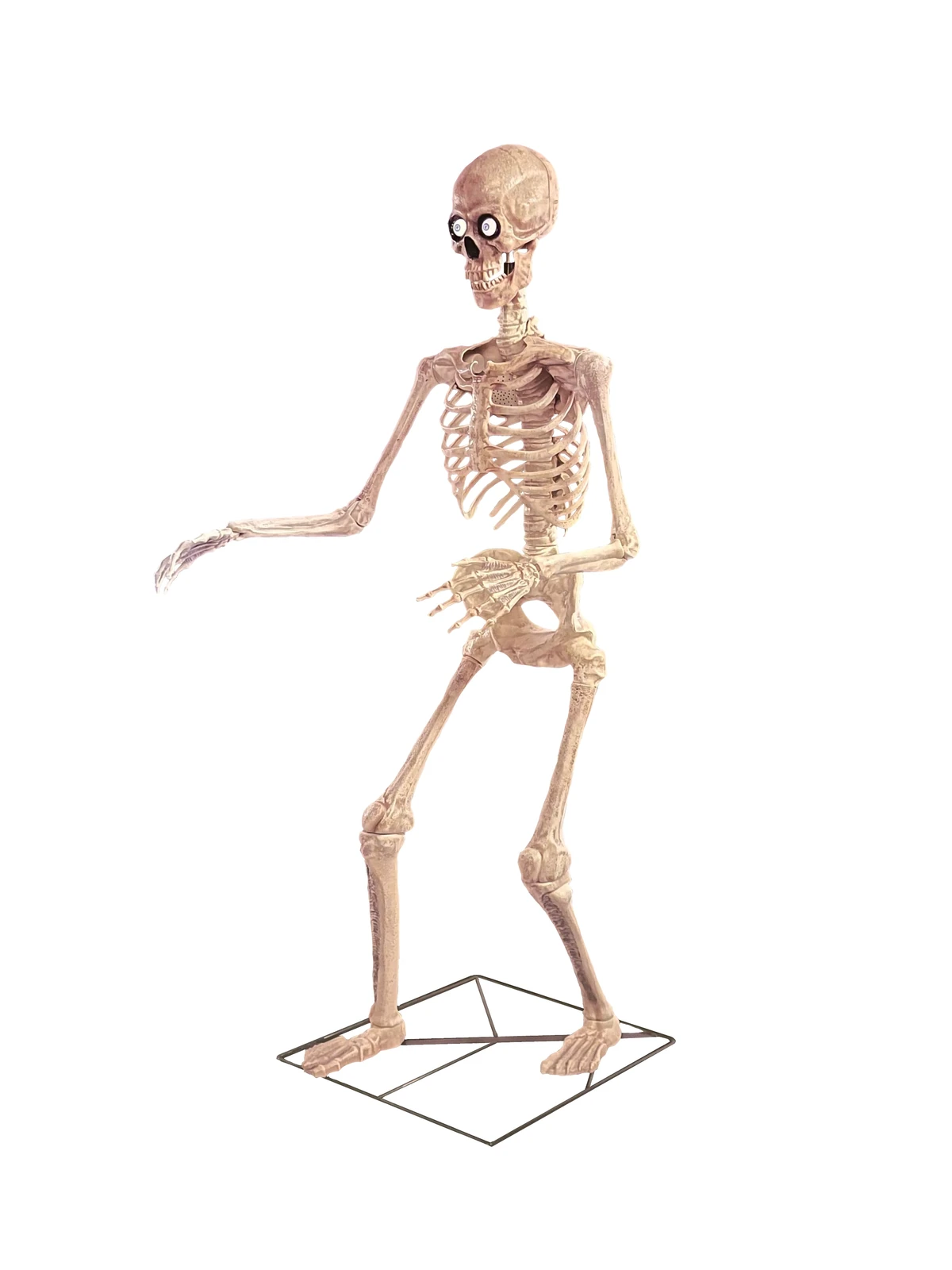 Category:Skeletons | Spirit Halloween Wikia | Fandom