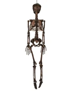 Moss Skeleton | Spirit Halloween Wikia | Fandom