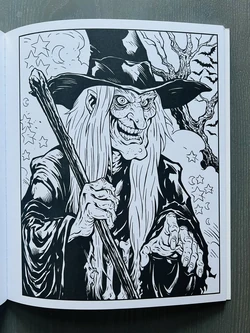 spirit coloring book