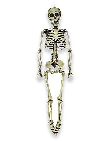 20 Inch Hanging Skeleton | Spirit Halloween Wikia | Fandom