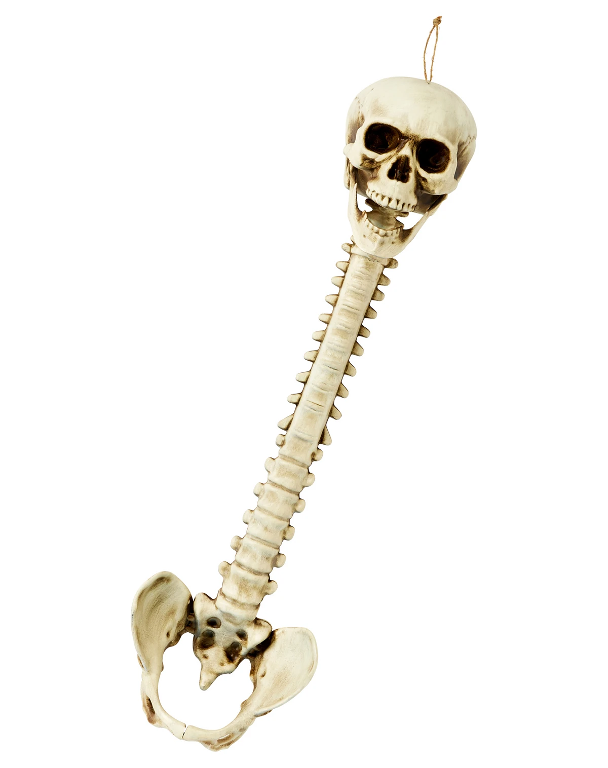 Skull Hanging Wall Decoration | Spirit Halloween Wikia | Fandom