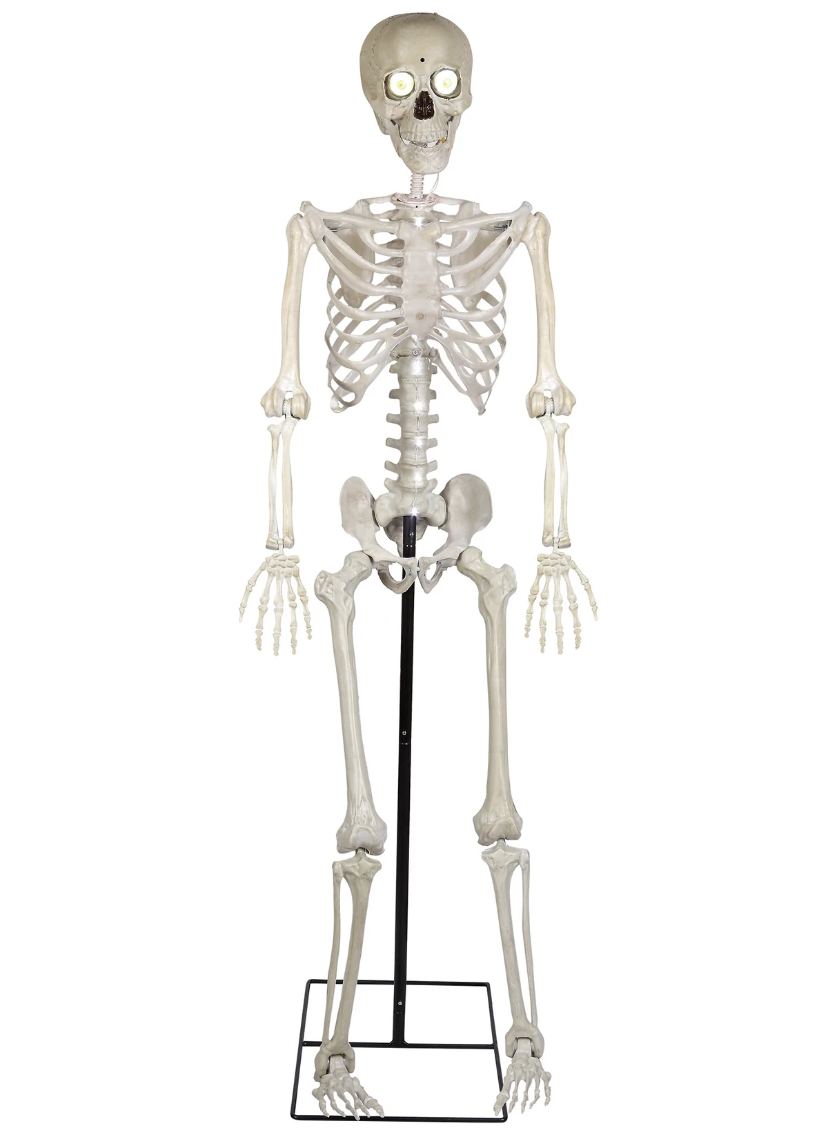 Life-Size Talking Skeleton | Spirit Halloween Wikia | Fandom