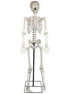 Category:2016 | Spirit Halloween Wikia | Fandom