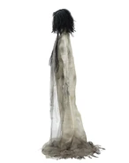 Twitching Banshee | Spirit Halloween Wikia | Fandom
