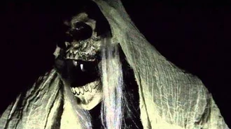 Wretched Reaper Animated Fog Creature | Spirit Halloween Wikia | Fandom