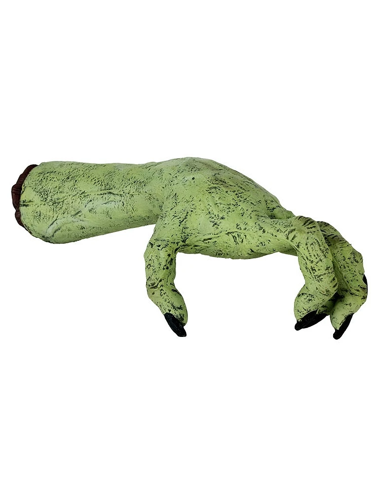 Severed Witch Hand | Spirit Halloween Wikia | Fandom