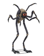 Wanda Webworth | Spirit Halloween Wikia | Fandom