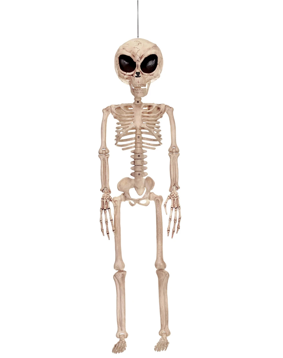 Alien Skeleton (2017) | Spirit Halloween Wikia | Fandom