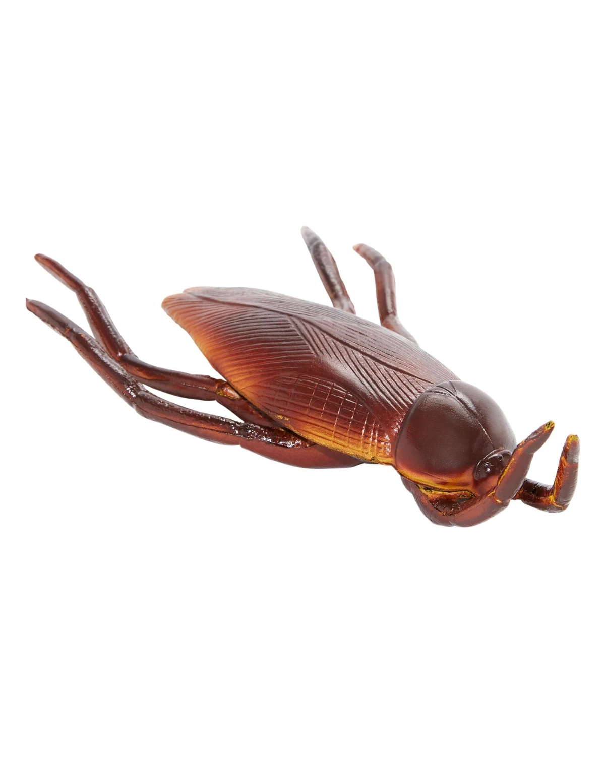 Roach Prop | Spirit Halloween Wikia | Fandom