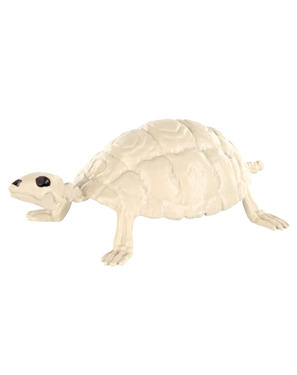 Skeleton Turtle | Spirit Halloween Wikia | Fandom