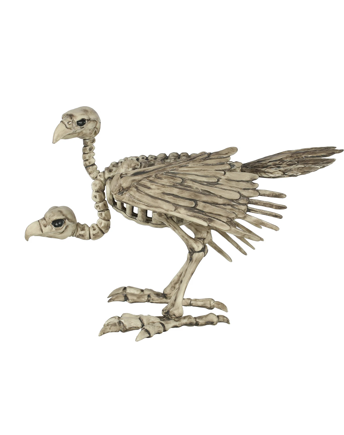 Two-Headed Vulture Skeleton | Spirit Halloween Wikia | Fandom