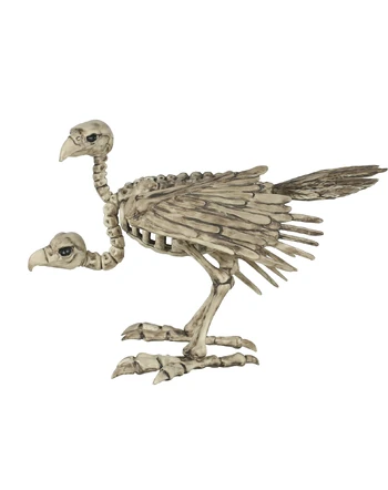 Two-Headed Vulture Skeleton | Spirit Halloween Wikia | Fandom