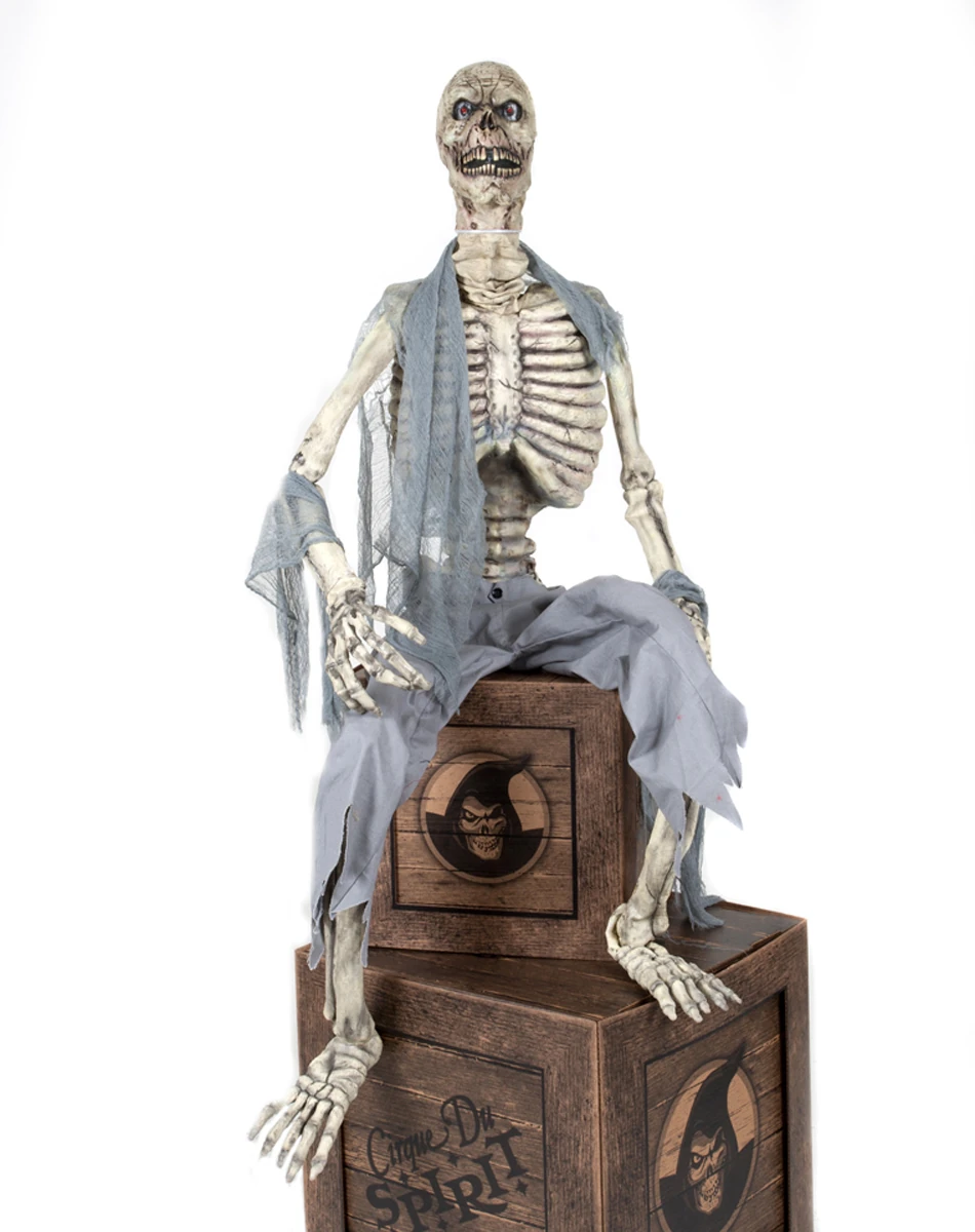 Bone Collector | Spirit Halloween Wikia | Fandom