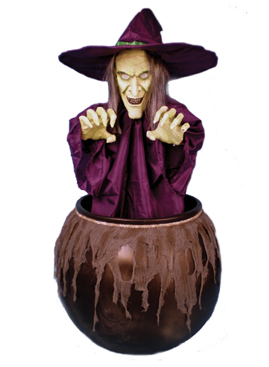 Evil Cauldron Witch | Spirit Halloween Wikia | Fandom