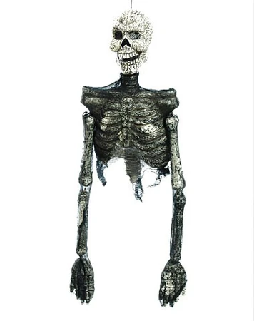 half skeletoned