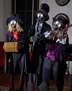 Janglin Bones Trio | Spirit Halloween Wikia | Fandom