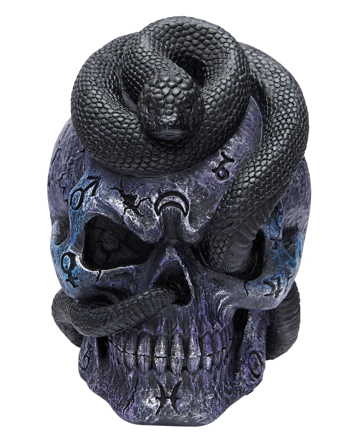 Mystical Arts Snake Skull | Spirit Halloween Wikia | Fandom