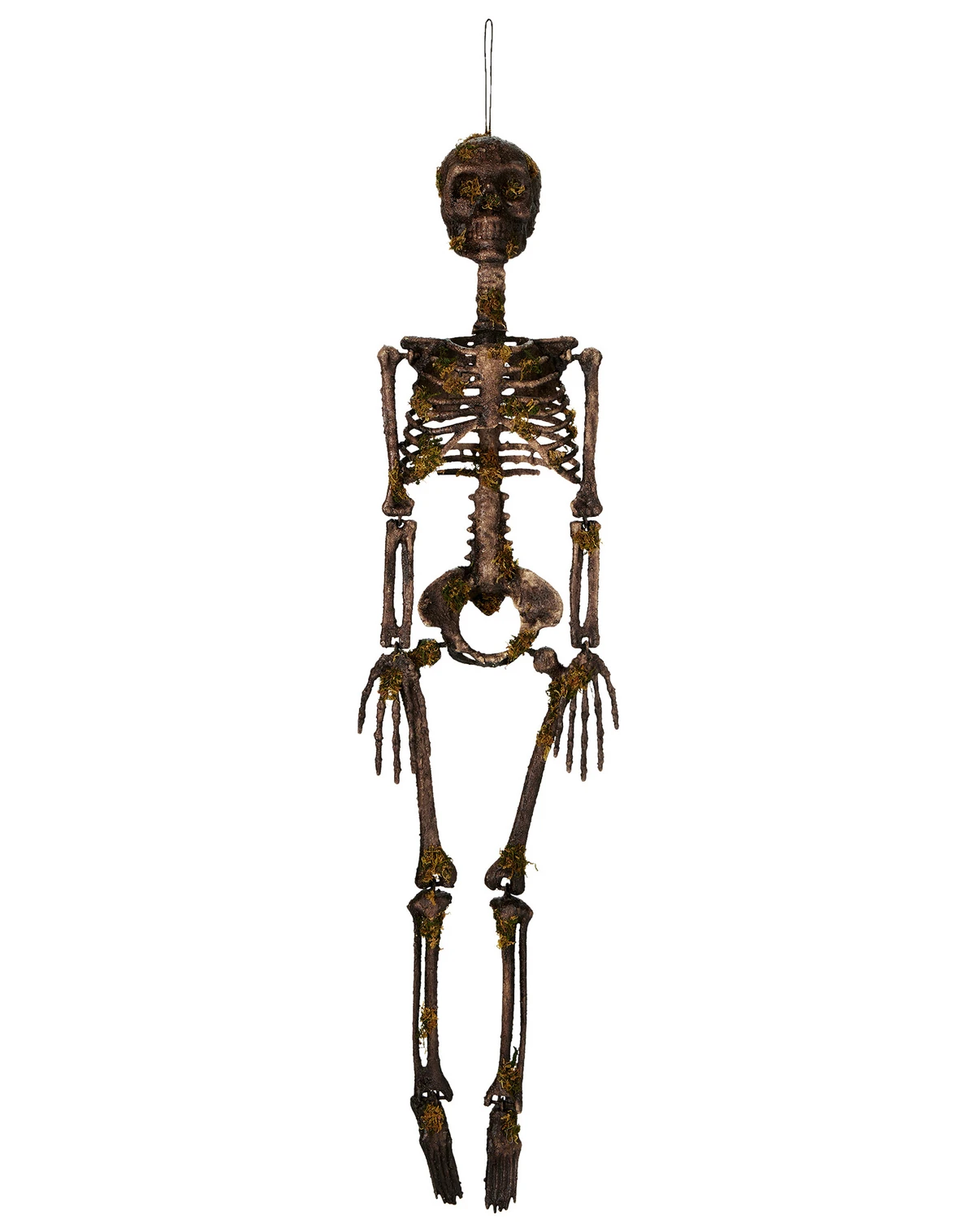 Moss Skeleton | Spirit Halloween Wikia | Fandom