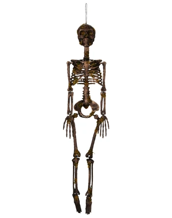 Moss Skeleton | Spirit Halloween Wikia | Fandom