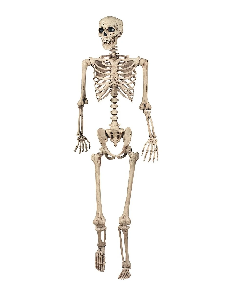 Pose-N-Stay Skeleton | Spirit Halloween Wikia | Fandom