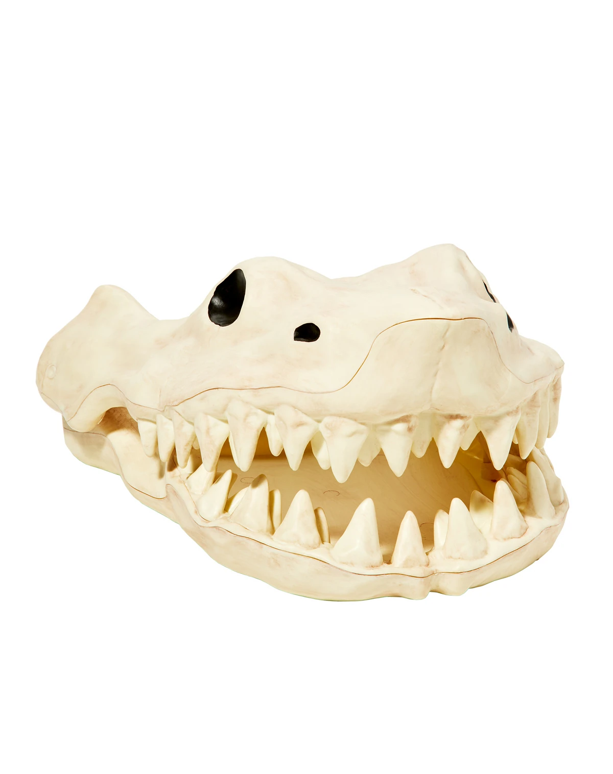 Shark Skull | Spirit Halloween Wikia | Fandom