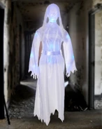 Translucent Girl | Spirit Halloween Wikia | Fandom