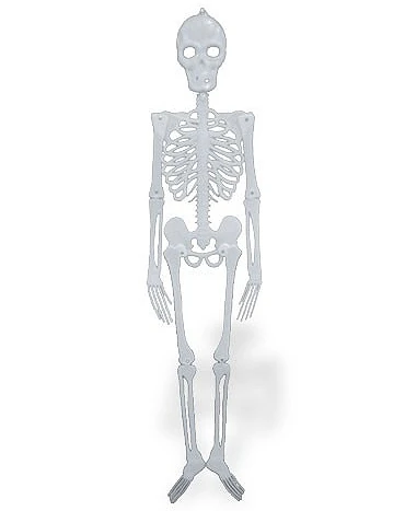 5 Foot Glow in the Dark Skeleton | Spirit Halloween Wikia | Fandom