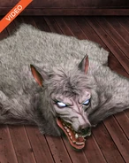 Werewolf Rug | Spirit Halloween Wikia | Fandom