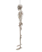Digieye Hanging Skeleton | Spirit Halloween Wikia | Fandom