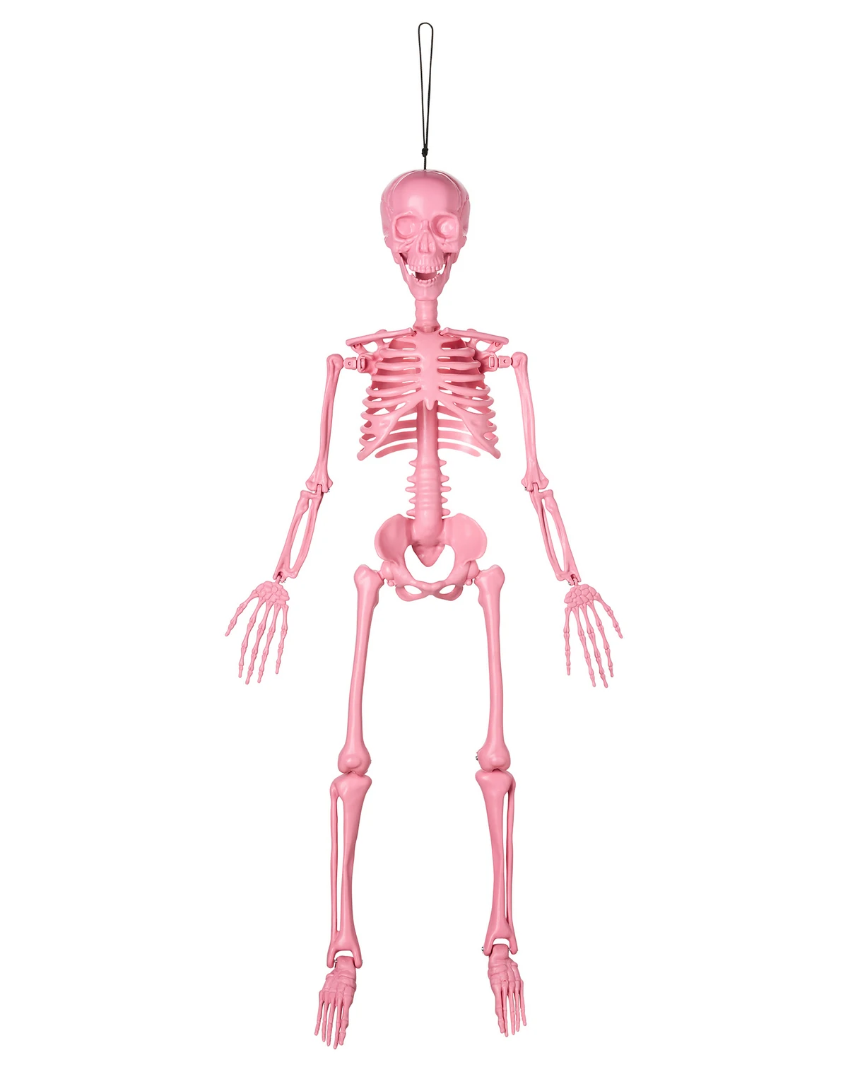Pink Skeleton | Spirit Halloween Wikia | Fandom