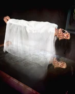 Levitator Girl | Spirit Halloween Wikia | Fandom