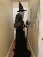 Lunging Haggard Witch | Spirit Halloween Wikia | Fandom
