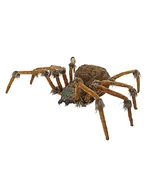Wolf Spider | Spirit Halloween Wikia | Fandom