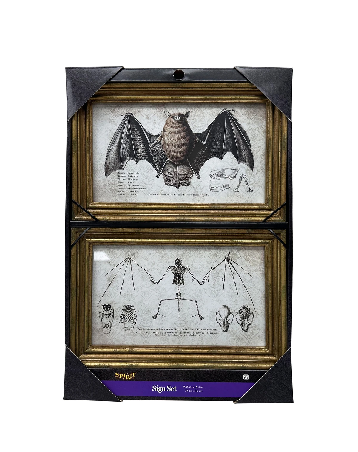 2-Piece Bat Sign Set | Spirit Halloween Wikia | Fandom