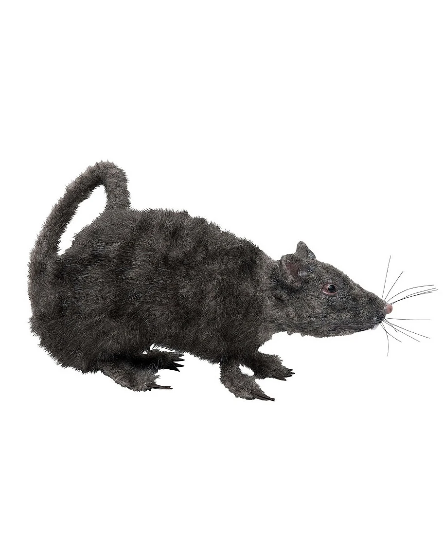 Rotten Rat | Spirit Halloween Wikia | Fandom