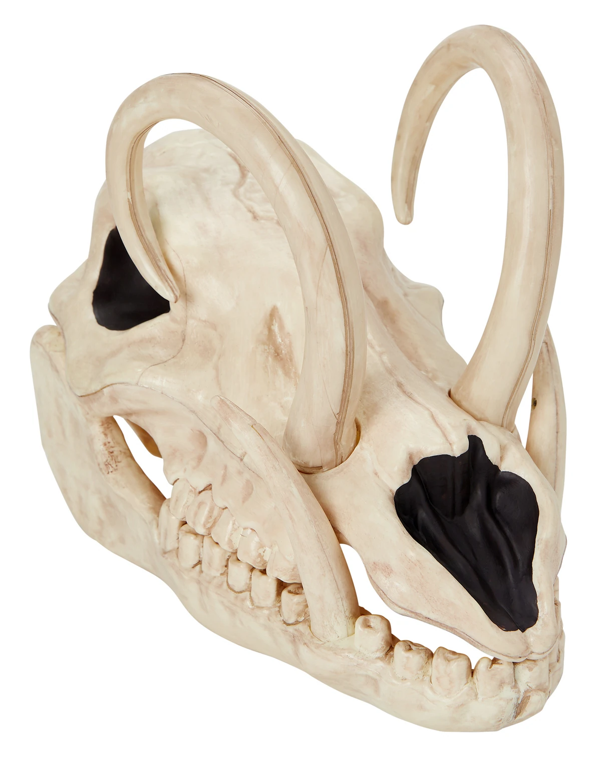 Boar Skull | Spirit Halloween Wikia | Fandom